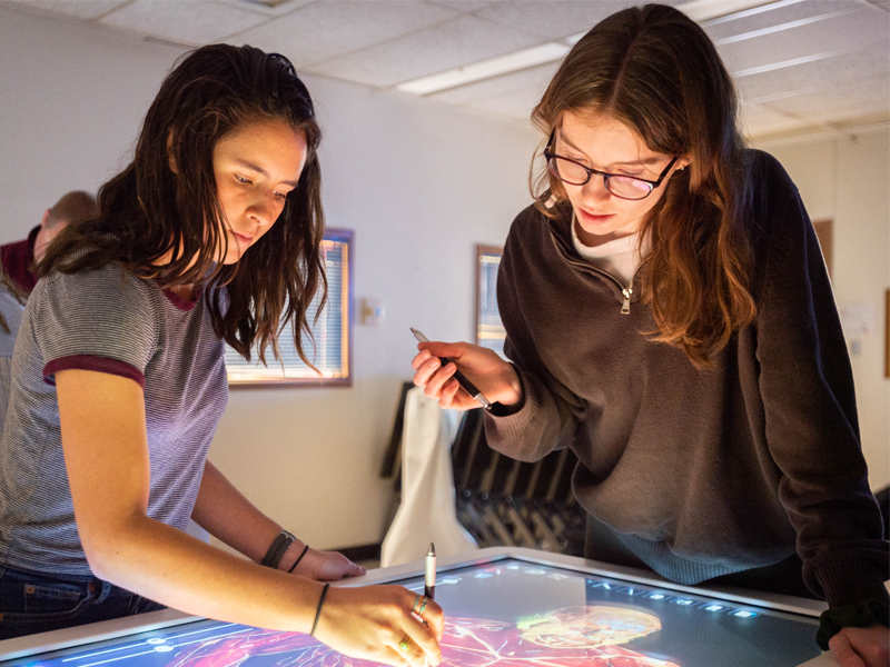 Opportunity - NM | New Mexico State University | BE BOLD. Shape the Future.